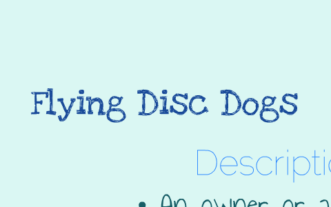 Flying Disk Dogs by Alexa Timmerman
