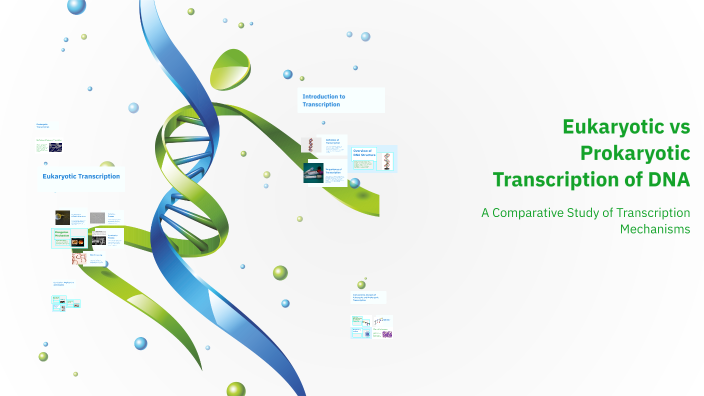 Eukaryotic vs Prokaryotic Transcription of DNA by Hassan Hassanl on Prezi