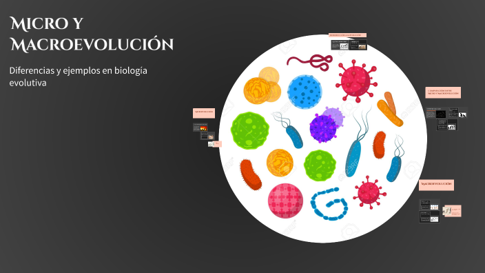 Micro y Macroevolución by on Prezi