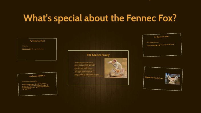 What's special about the Fennec Fox? by Nayla Louis on Prezi