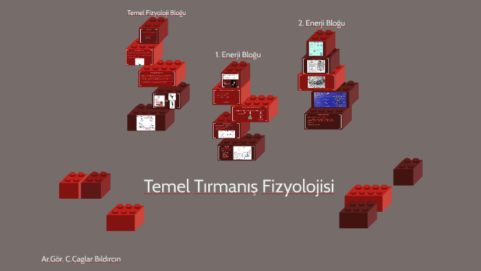 Temel Fizyoloji ve Tırmanış Fizyolojisi by Caglar Bildircin on Prezi