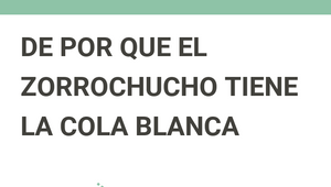 De por que zorrochucho tiene la cola blanca by Daniela Llorente on ...