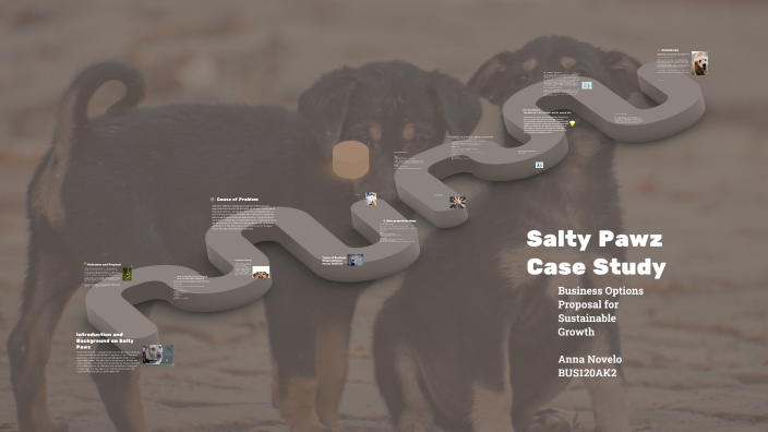 Salty Pawz Case Study by Anna Novelo on Prezi