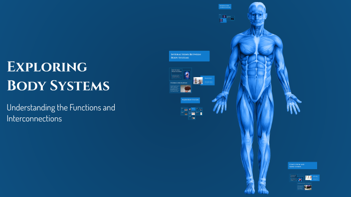 Exploring Body Systems by Kelly Rodas Martinez on Prezi
