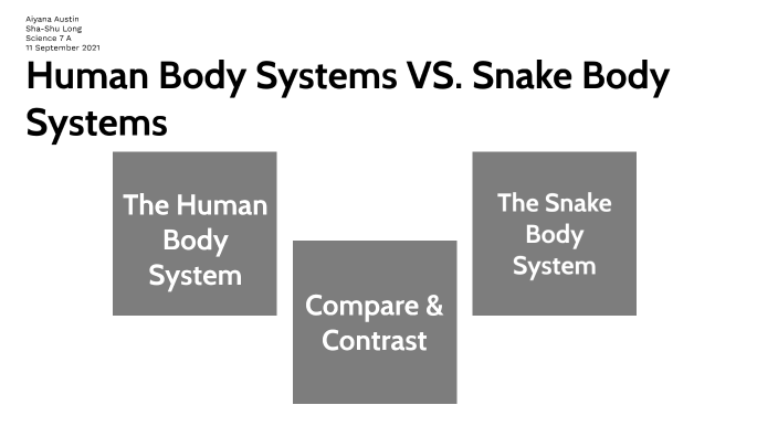 Human VS. Snake Body Systems by A Austin on Prezi