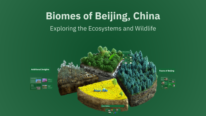 Biomes of Beijing, China by Sarah Edwards on Prezi
