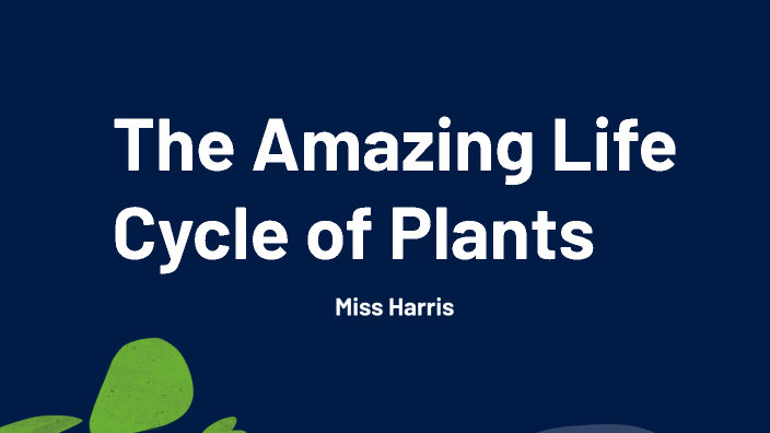 The Amazing Life Cycle of a Plant by Megan Harris on Prezi