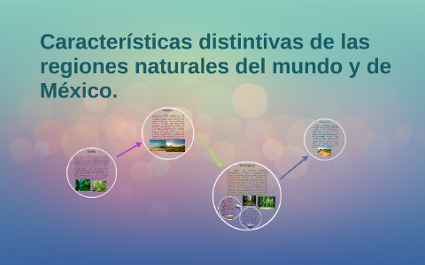 Características distintivas de las regiones naturales del mu by Ian ...