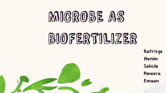 MICROBES AS BIOFERTILIZER by NUR ALIA BATRISYA MOHD SYABANI / UPM on Prezi