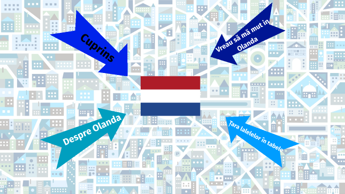 Olanda, țara lalelelor. by Daria Coman on Prezi