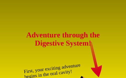 Digestive System Brochure by Marcie Dodd on Prezi