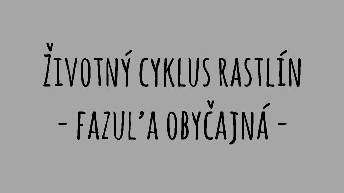 Životný cyklus rastlín - fazuľa obyčajná by Nikola Janečková on Prezi