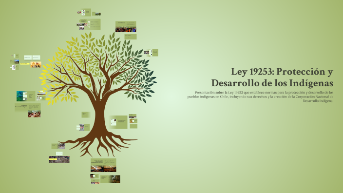 Ley 19253: Protección y Desarrollo de los Indígenas by Alen Anahi ...