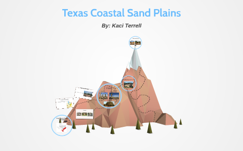 Texas Coastal Sand Plains by kaci terrell on Prezi