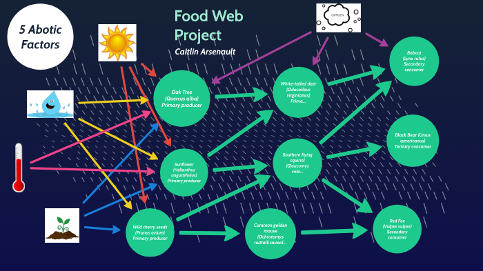 Food Web Project by Caitlin Arsenault on Prezi