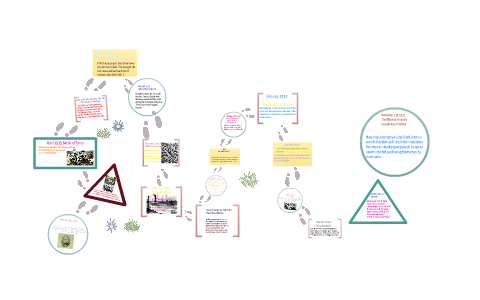 Timeline of WW1 Battles by sarah krowchuk on Prezi