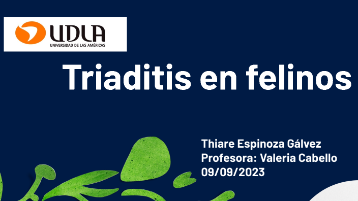 Triaditis en felino by Thiare Espinoz on Prezi