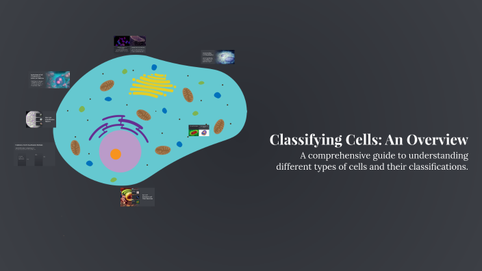 Classifying Cells: An Overview by Dorine Falana'i on Prezi