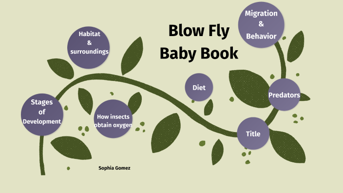 Blowfly Baby Book by Sophia Gomez on Prezi
