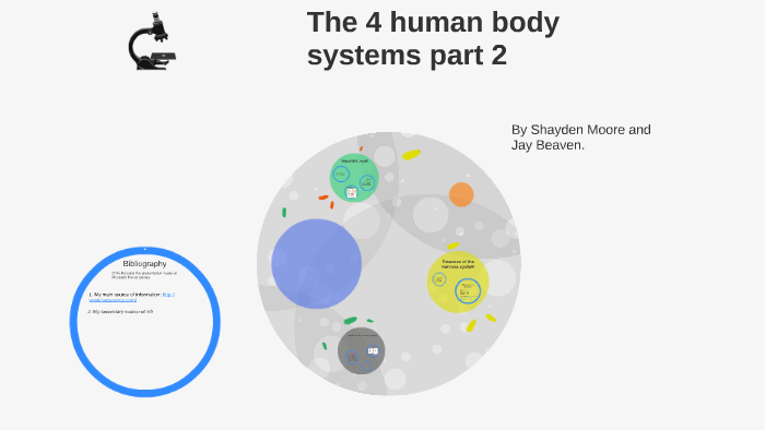 The 4 human body systems part 2 by shayden moore on Prezi