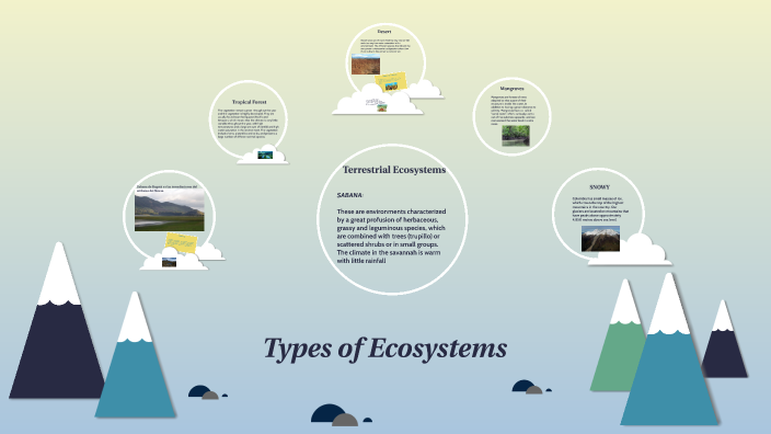 Different Types of Ecosystems by SARA GRACIANO on Prezi