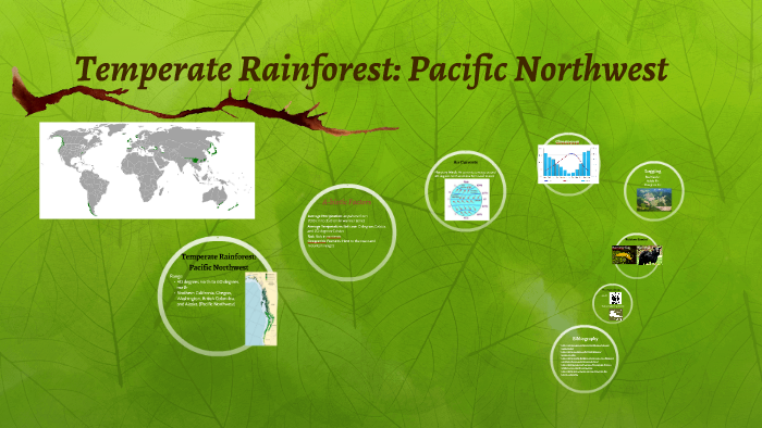 Temperate Rainforest: Pacific Northwest by Michael Goetzmann on Prezi