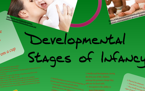 Development Stages of Infancy by chandler johannsen on Prezi