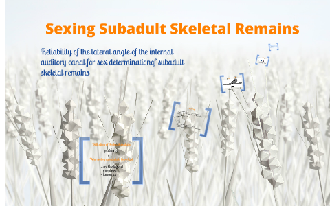 Sexing of subadult skeletal remains by Marigold Mikulski on Prezi