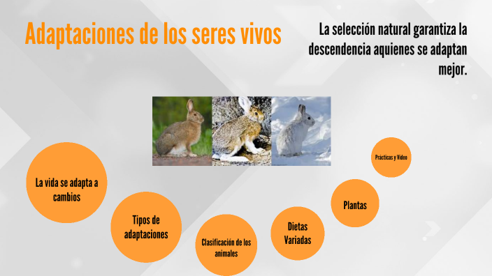 Adaptación de los seres vivos by MARIA MENDOZA on Prezi