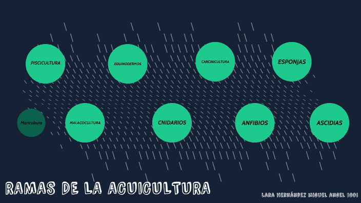 RAMAS DE LA ACUICULTURA by Miguel Lara Dx on Prezi