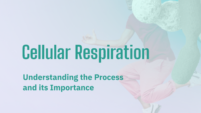 Cellular Respiration project by Boosay Reid on Prezi