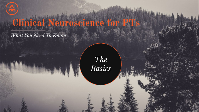 Neuro for PTs: The Basics by Jackson Taylor on Prezi