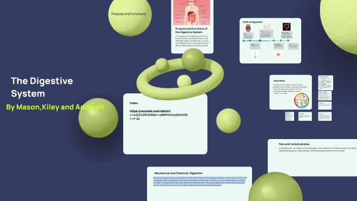 The Digestive System by Addison Hartman on Prezi