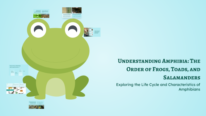 Understanding Amphibia: The Order of Frogs, Toads, and Salamanders by ...