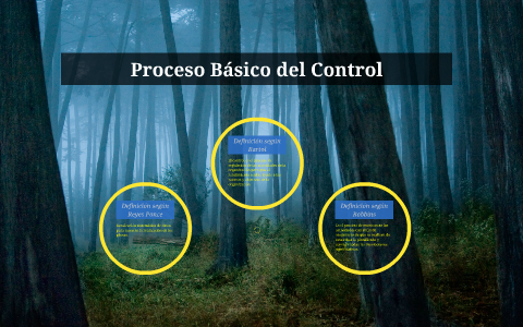 Proceso Basico del Control by Daviid Perez on Prezi