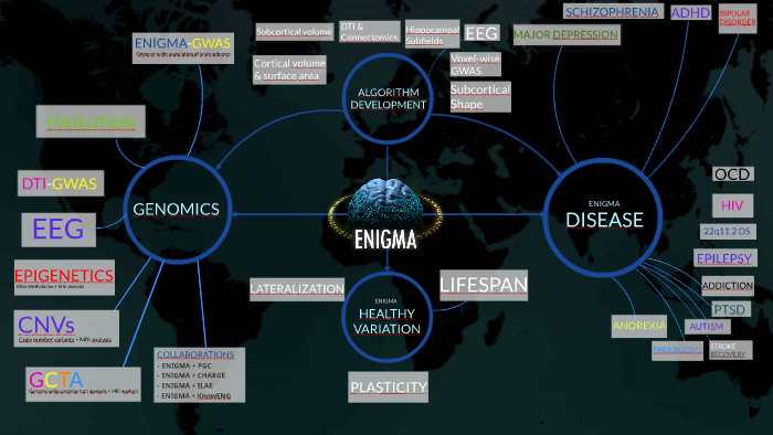 ENIGMA Organizational Structure (NIH) by ENIGMA Consortium on Prezi