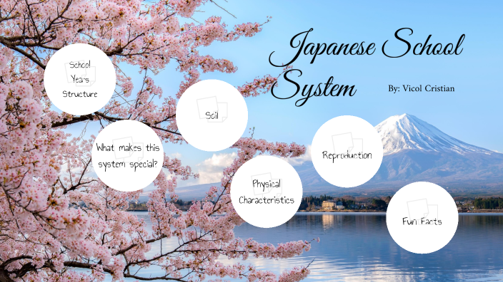 Japanese School System by Cristian Vicol on Prezi