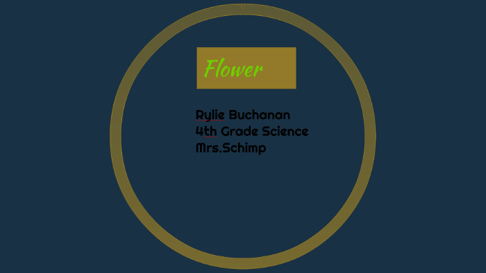 Flower by Rylie Buchanan on Prezi