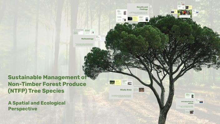 Sustainable Management of Non-Timber Forest Produce (NTFP) Tree Species ...