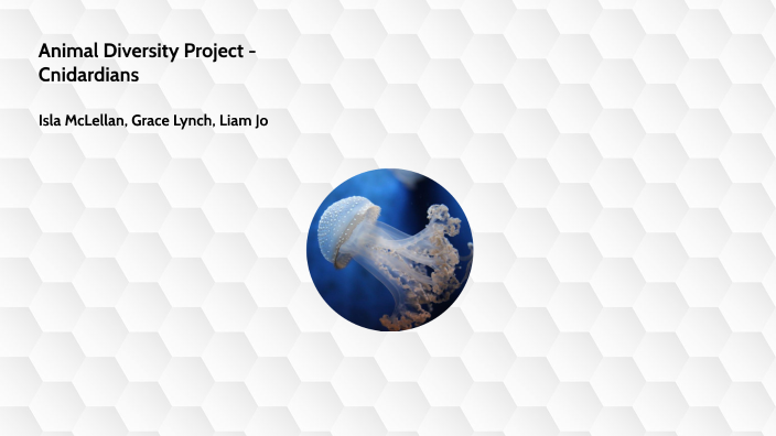 Animal Diversity Project by Liam Jo on Prezi