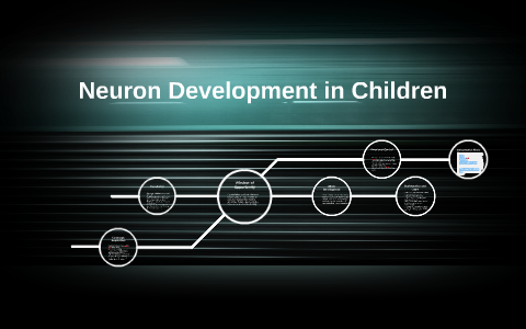 Neuron Development in Children by Michael Smith on Prezi
