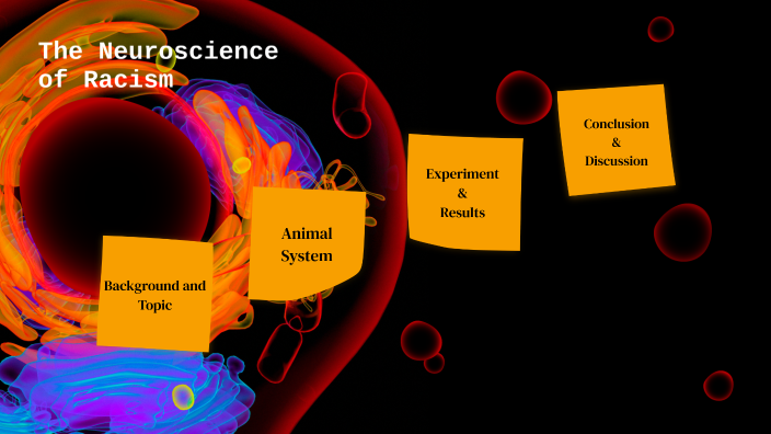 Neuroscience of Racism by Halima Thomas on Prezi