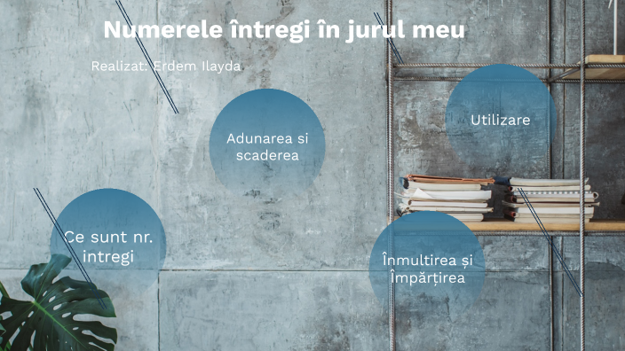 Numerele intregi by erdem emine on Prezi