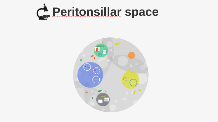 Peritonsillar space by pond lastname on Prezi