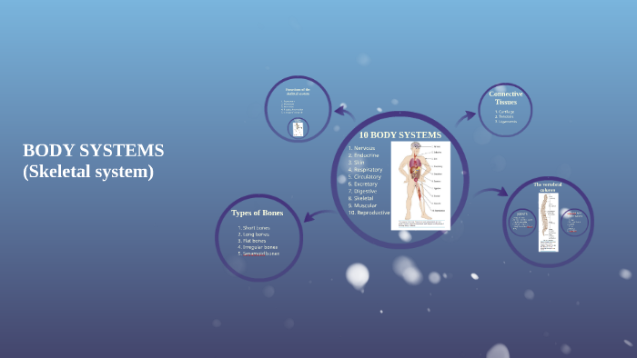 BODY SYSTEMS by Nerida King on Prezi