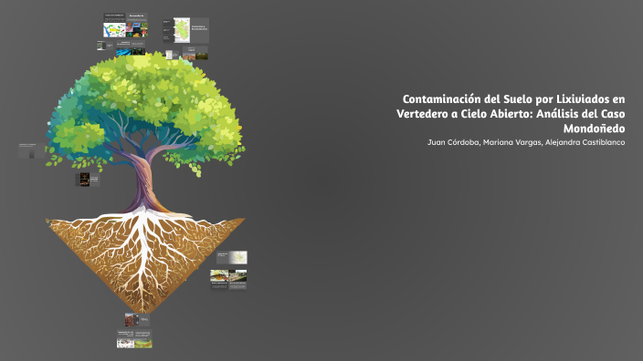 Contaminación del Suelo por Lixiviados en Vertedero a Cielo Abierto ...