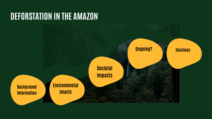 Deforestation of the Amazon Rainforest by ISABEL APODACA on Prezi