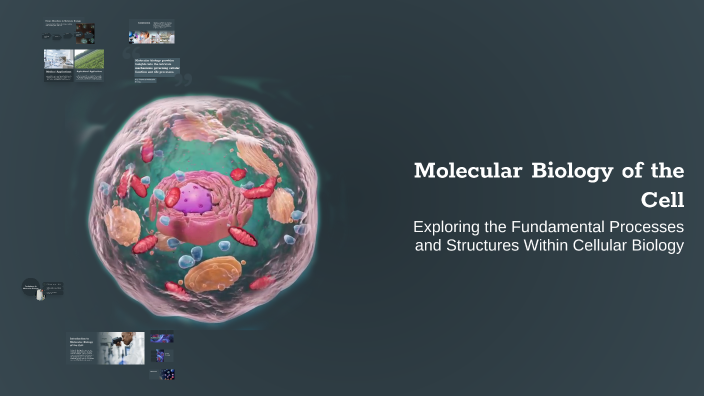 Molecular Biology of the Cell by Dornan _ on Prezi