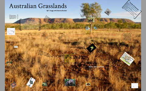Australian Grasslands by Talley on Prezi