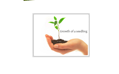 English Group Anthology Project by haroon mujahid on Prezi